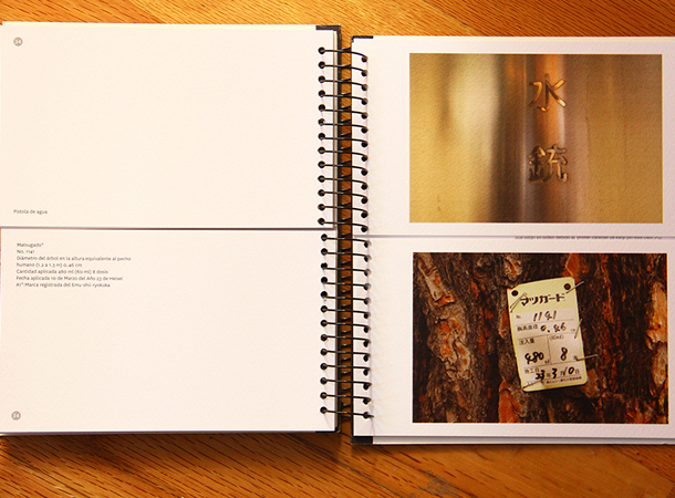 El juego de azar de Dorfsman | La Tempestad